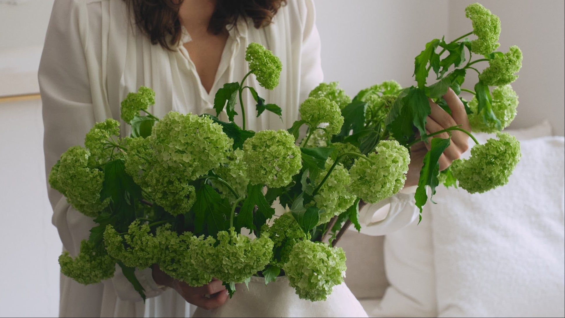 Florette – Seventyfour Design - Australia's Expert Shopify Developers